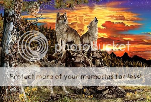 17 Hidden Wolves Optical Illusion | ElaKiri